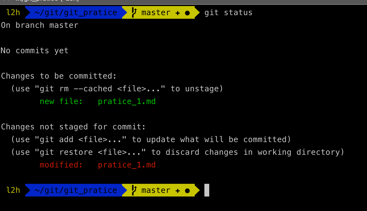 👾 git 완벽 정복 - git의 기초 - LakeScript